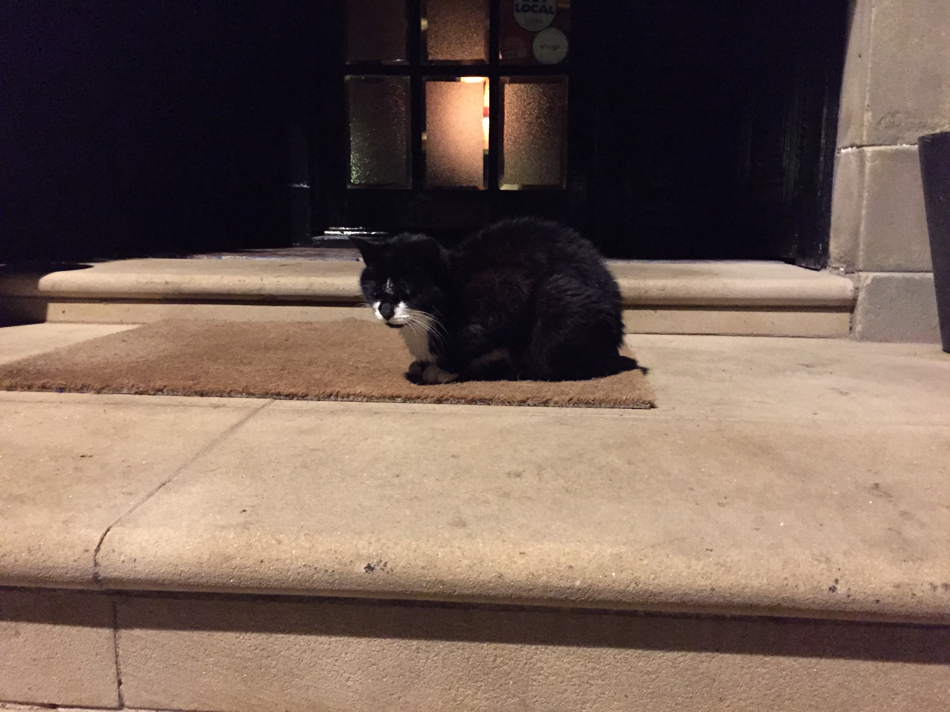 ratml : personal webpage of ryan curtin